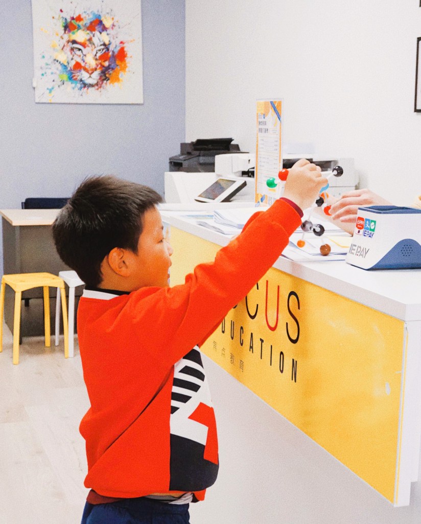 Focus Education NZ – High-quality education services for students year ...